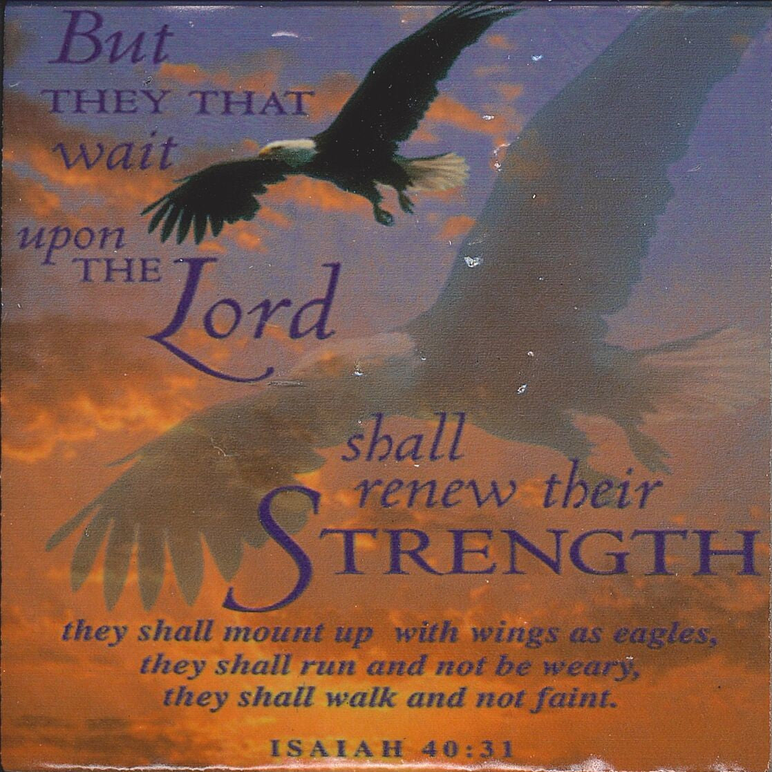 But They That Wait Upon the Lord Shall Renew Their Strength Isaiah 40 ...