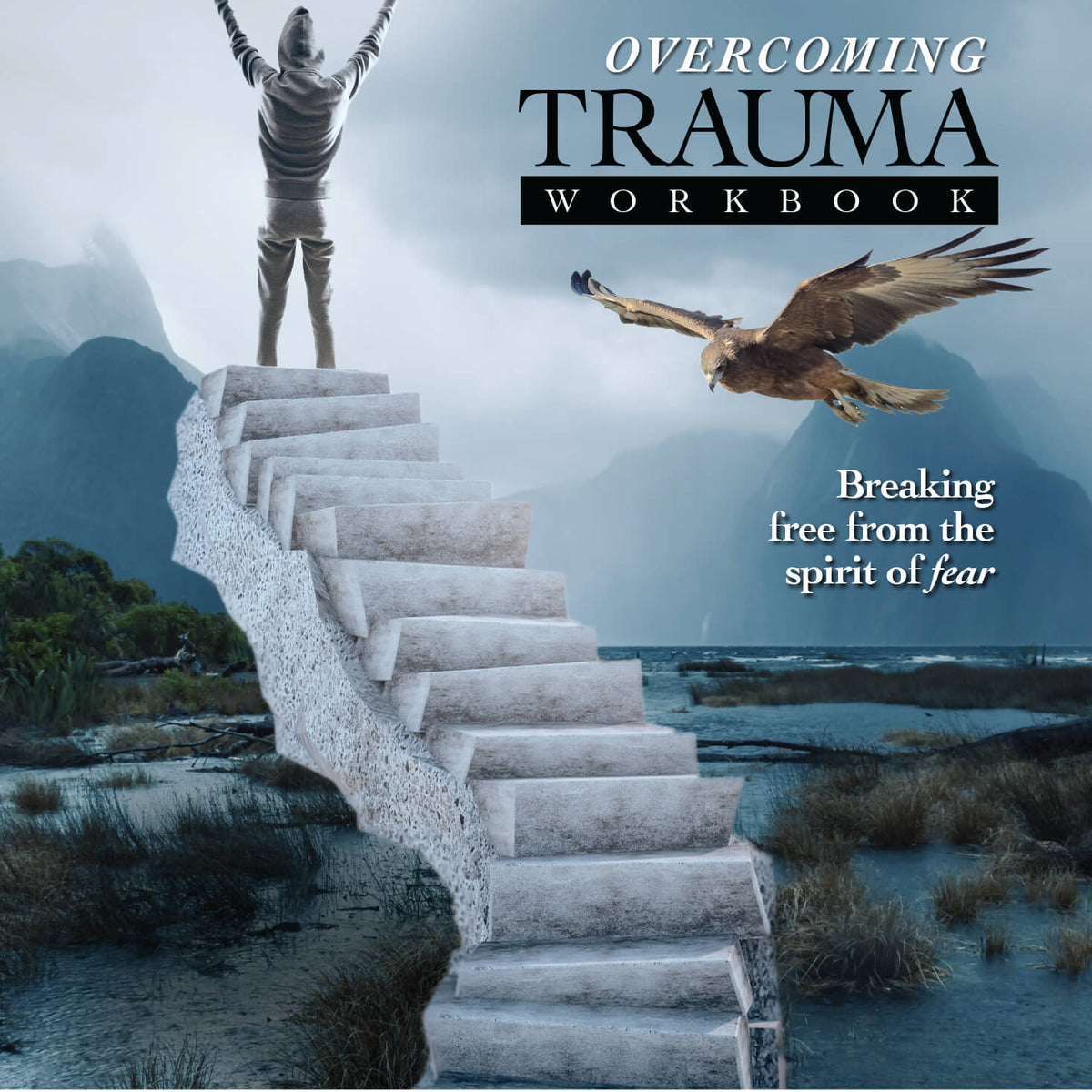 Overcoming Trauma Workbook. Breaking Free from the Spirit of ear ...