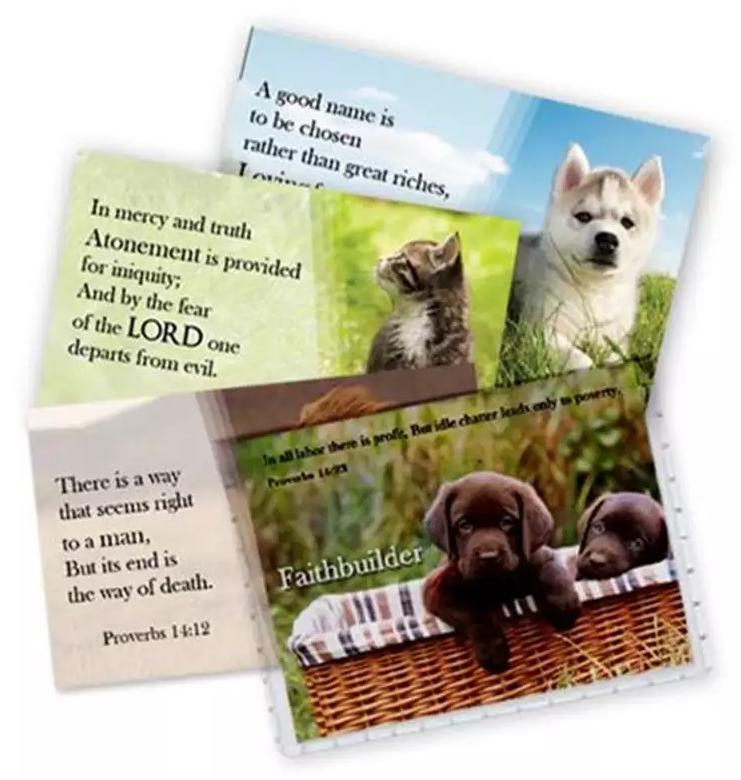 Faithbuilder Pocket Cards: Proverbs (Pack of 20 designs) — Christian ...