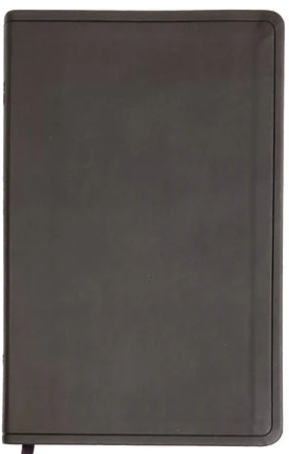 NIV Thinline Bible Grey leathersoft 9-point print size — Christian ...
